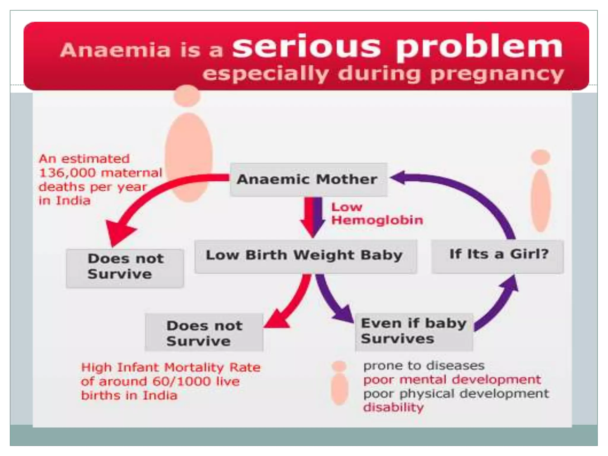 National nutritional anemia prophylaxis | PPTX