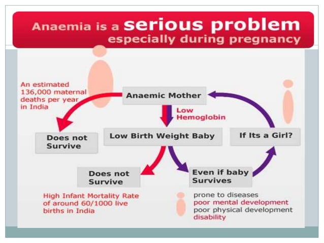 National nutritional anemia prophylaxis | PPTX