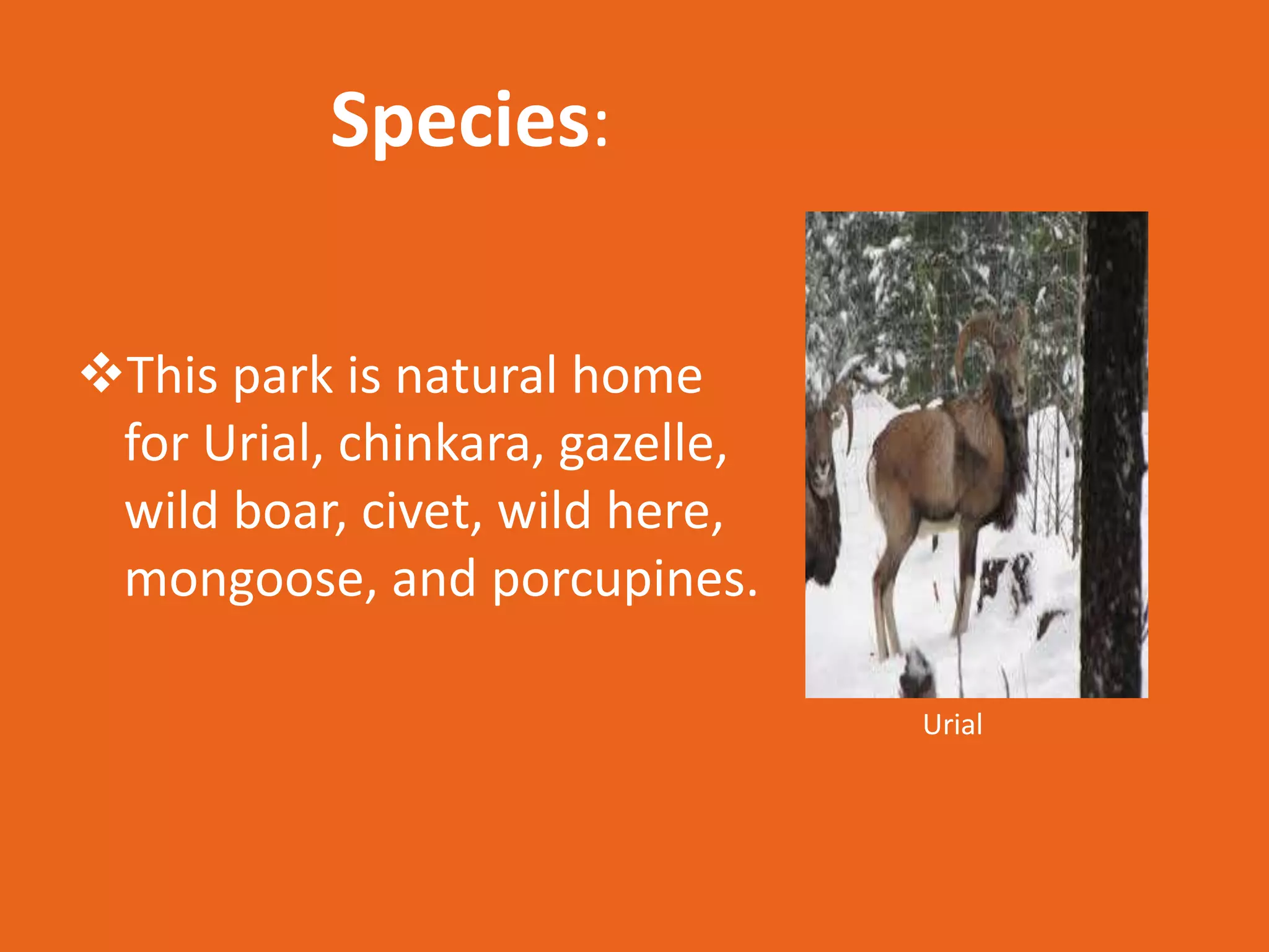 major National park of pakistan | PPTX