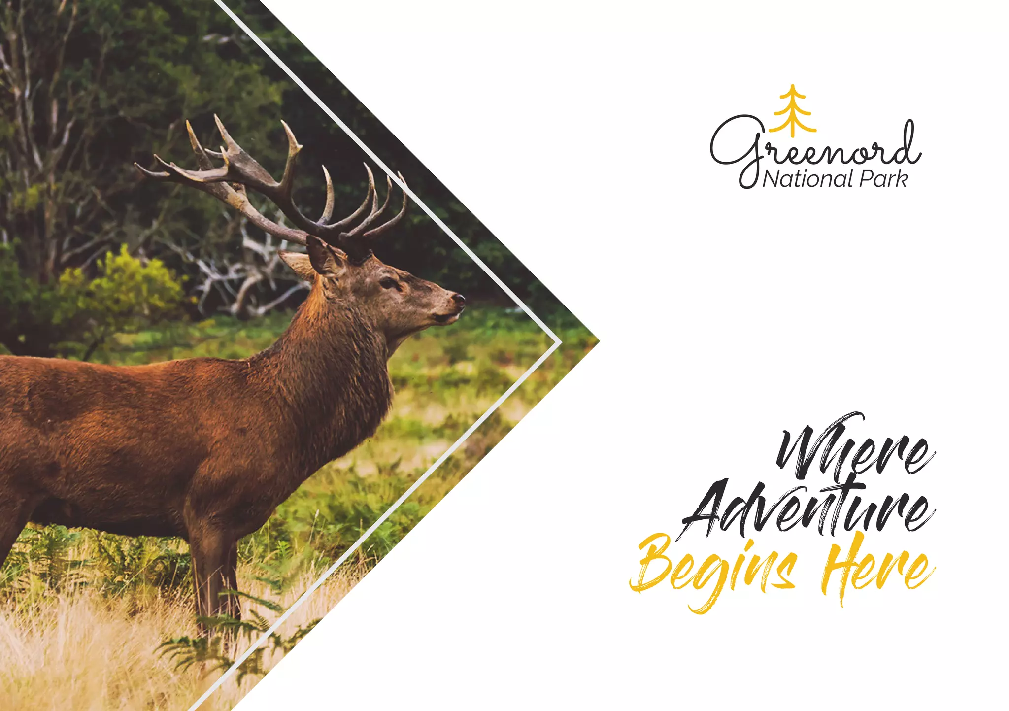 National Park Brochure - A5 Landscape | PPT