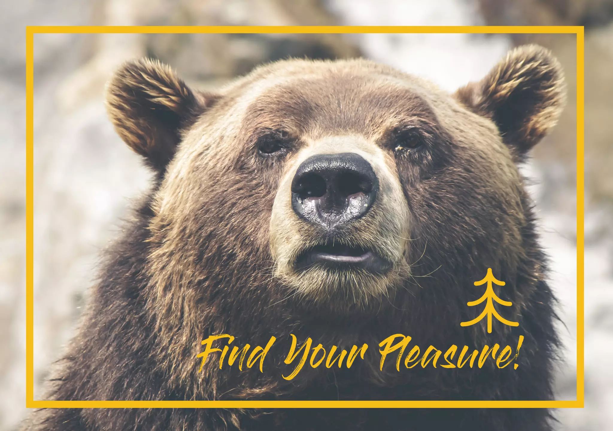 National Park Brochure - A5 Landscape | PPT