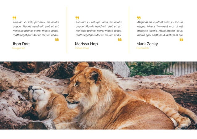 National Park Brochure - A5 Landscape | PPT