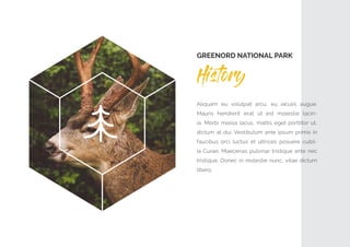 National Park Brochure - A5 Landscape | PPT