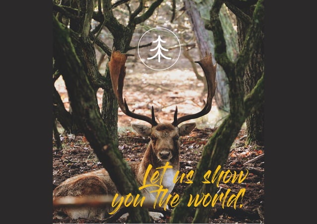 National Park Brochure - A5 Landscape | PPT