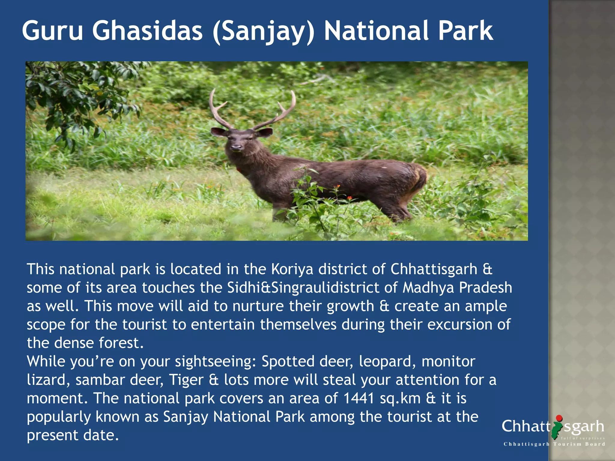 National park in Chhattisgarh | PDF