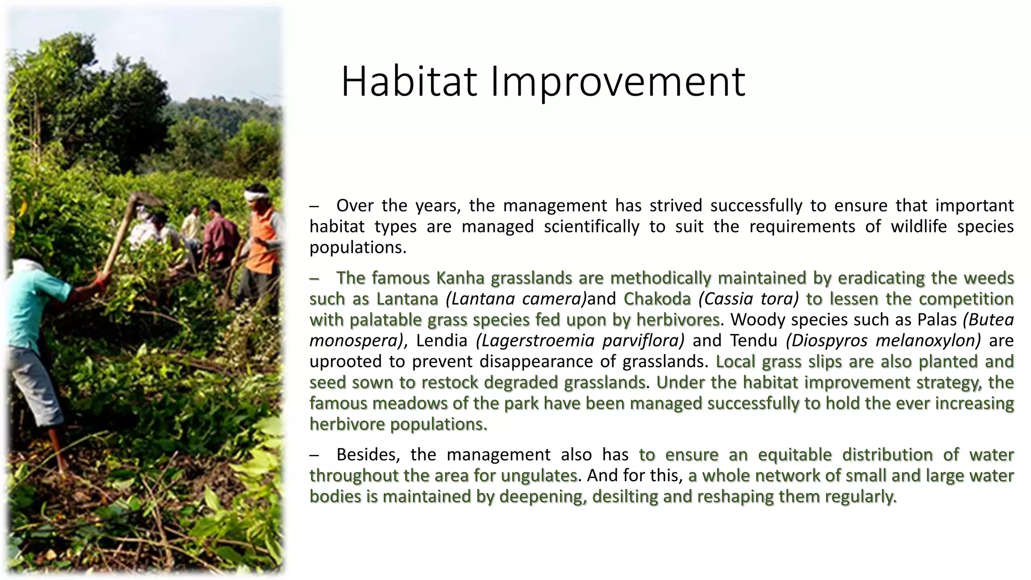 NAtional park ppt.pptx