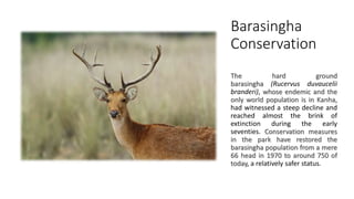 NAtional park ppt.pptx