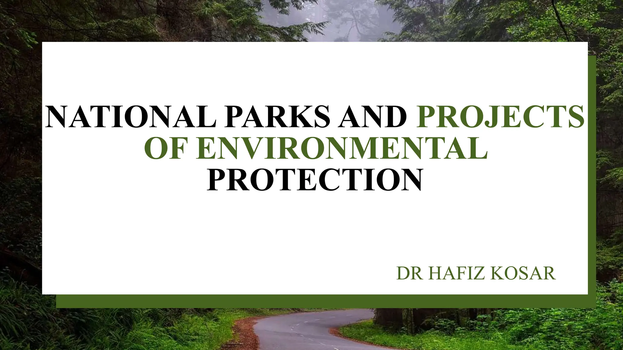 NATIONAL PARKS AND PROJECTS OF ENVIRONMENTAL PROTECTION.pptx