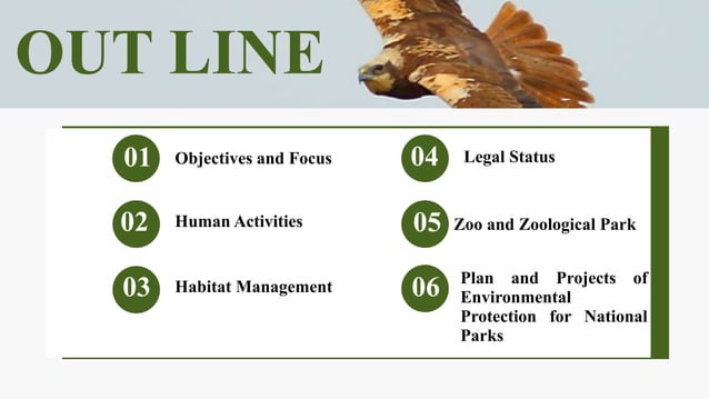NATIONAL PARKS AND PROJECTS OF ENVIRONMENTAL PROTECTION.pptx