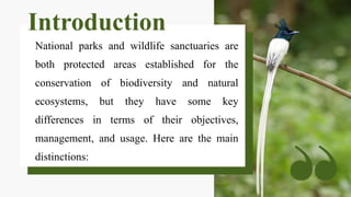 NATIONAL PARKS AND PROJECTS OF ENVIRONMENTAL PROTECTION.pptx