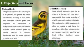 NATIONAL PARKS AND PROJECTS OF ENVIRONMENTAL PROTECTION.pptx