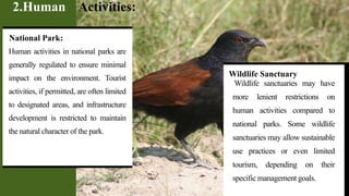 NATIONAL PARKS AND PROJECTS OF ENVIRONMENTAL PROTECTION.pptx