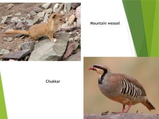 National parks and Wildlife Sanctuaries of india.pptx