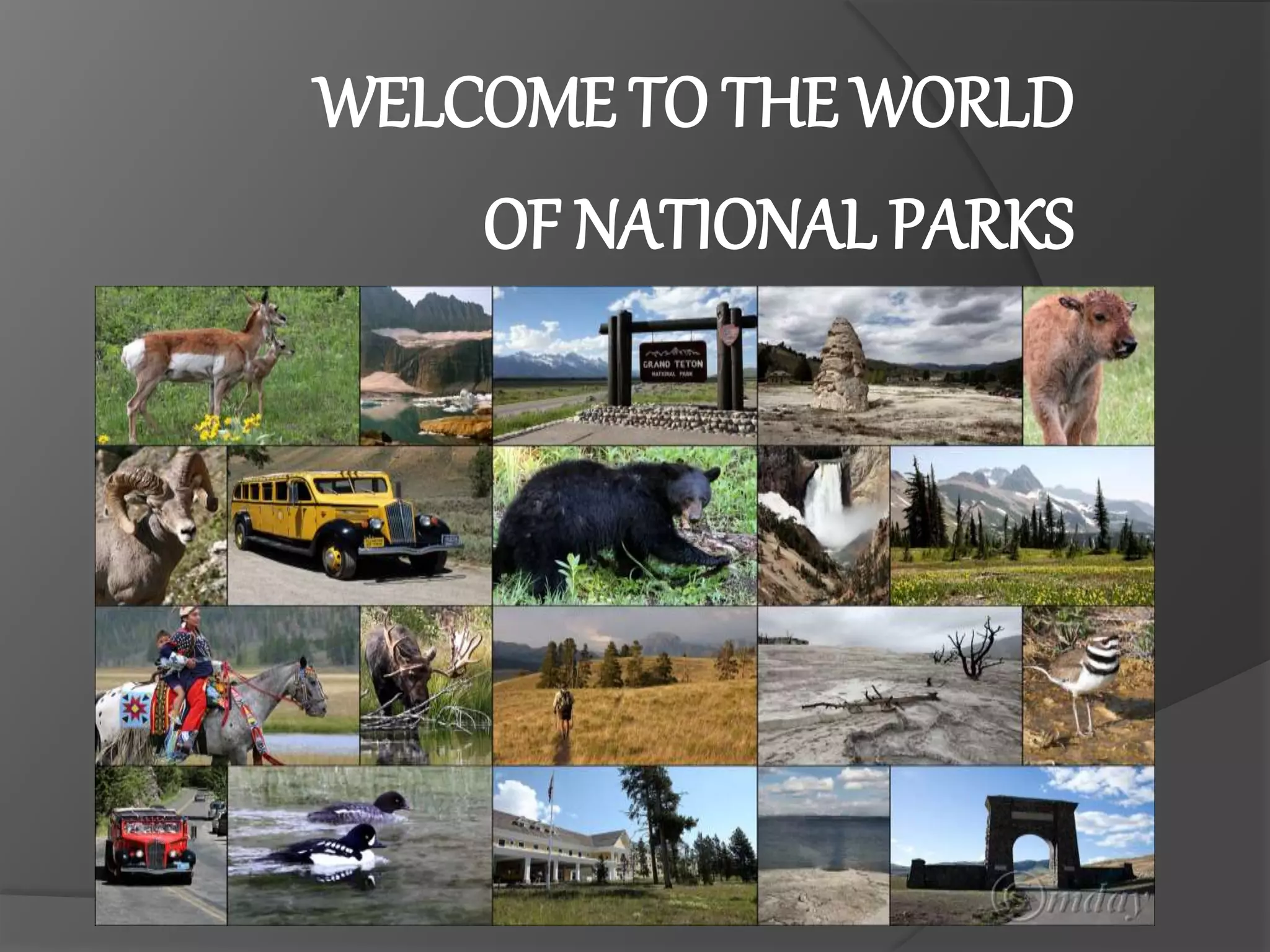 National Parks PPT | PPTX