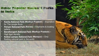 On Safari in India in Search of the Bengal Tiger | PPTX