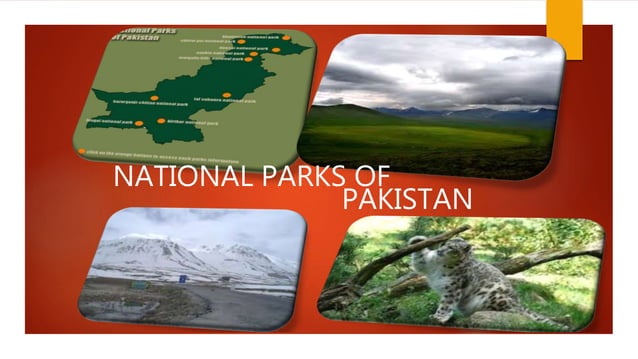 National Parks of Pakistan | PPTX | Zoos & Aquariums | Attractions