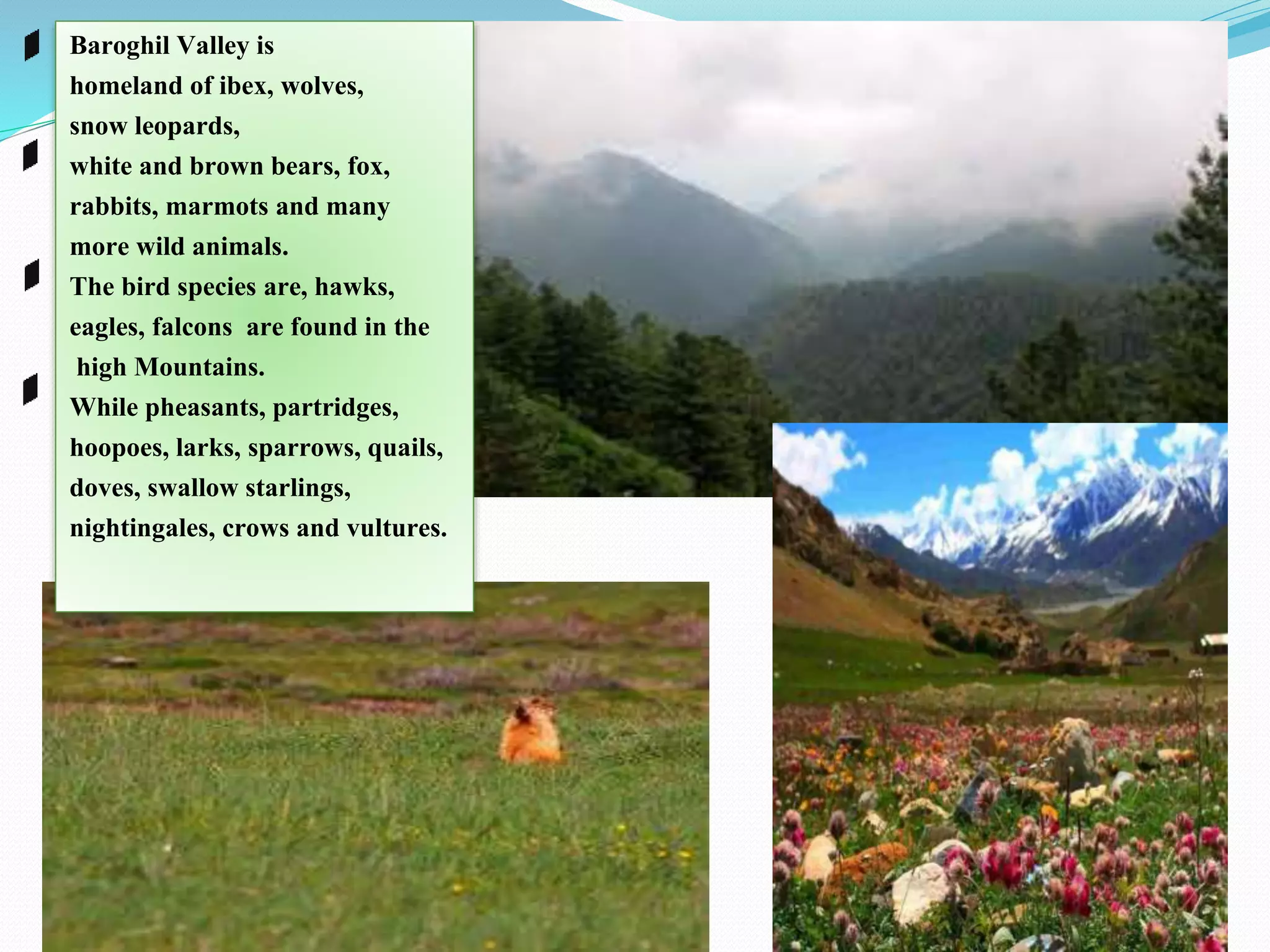 National Parks in Pakistan | PPTX