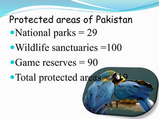 National Parks in Pakistan | PPTX
