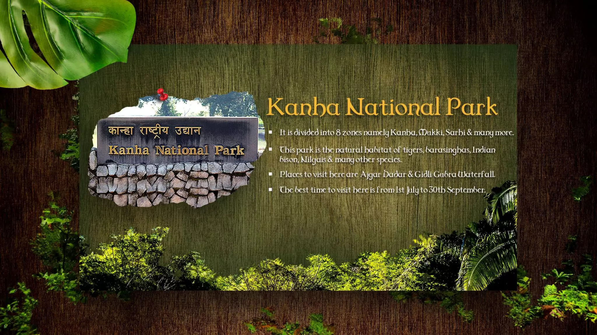 National parks of madhya pradesh that you must visit | PPTX