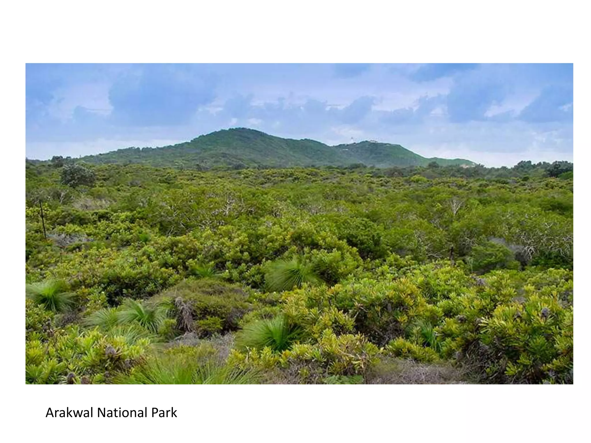 National parks of NSW | PPTX