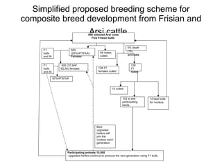 National performance and plan for ai activites and services | PPT
