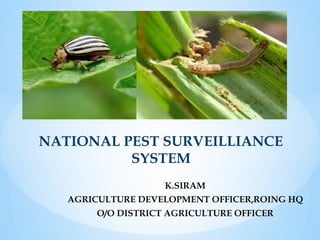NATIONAL PEST SURVEILLANCE SYSTEM.pptx NN | PPT