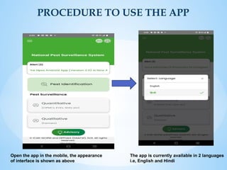 NATIONAL PEST SURVEILLANCE SYSTEM.pptx NN | PPT