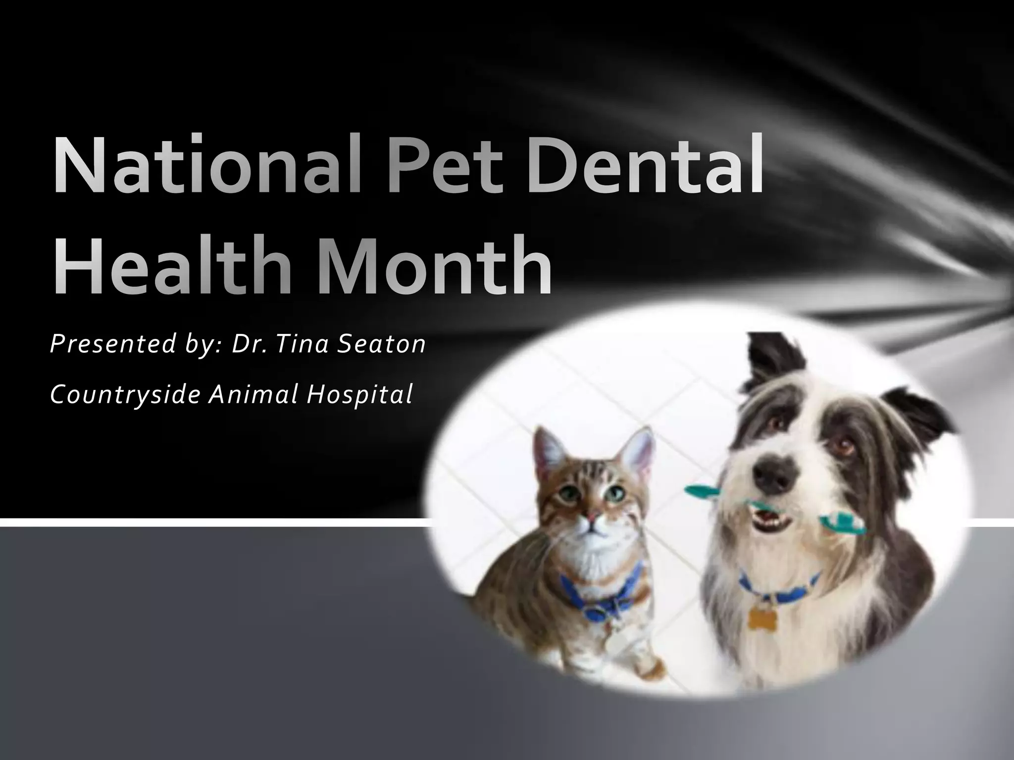 National pet dental health month | PPTX
