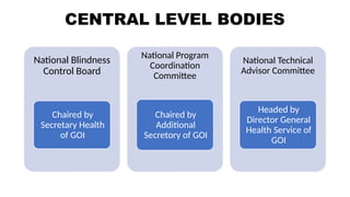 NATIONAL PROGRAME FOR CONTROL OF BLINDNESS & VISUAL.pptx