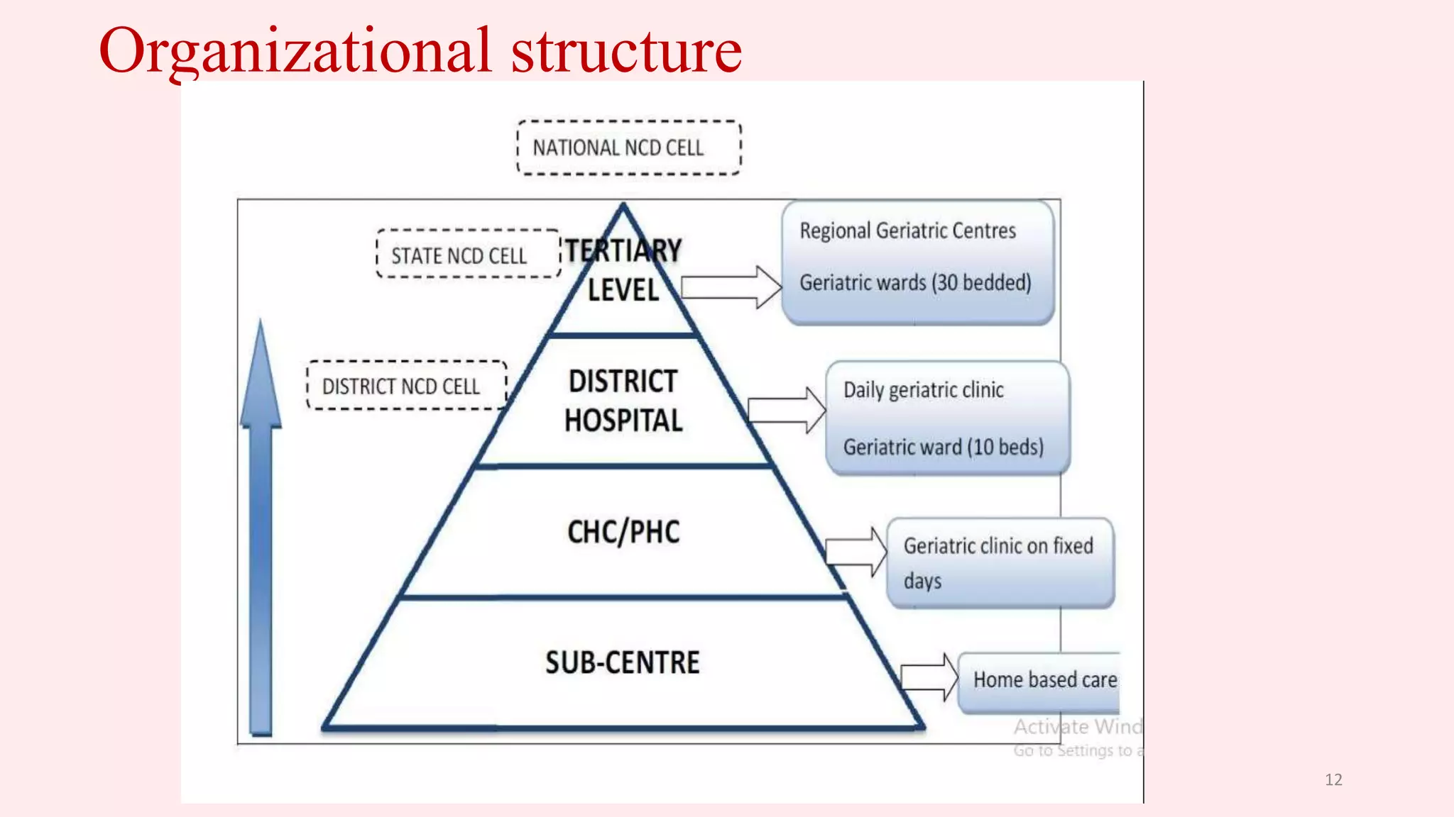 National Programme for Health Care of the Elderly recovered.pptx
