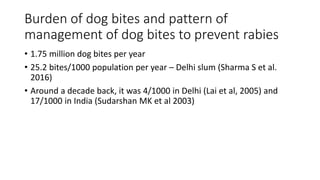 Rabies - lecture | PPTX