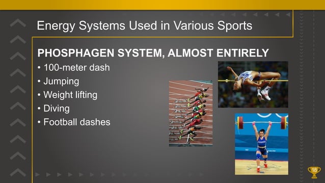 Sports physiology | PPT