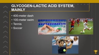 Sports physiology | PPTX