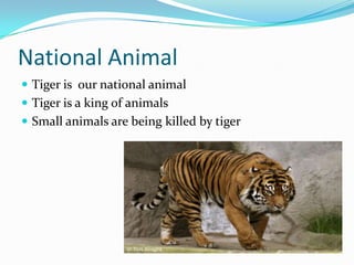 National symbol of india | PPTX