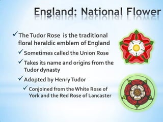 National symbols | PPTX