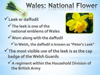 National symbols | PPTX