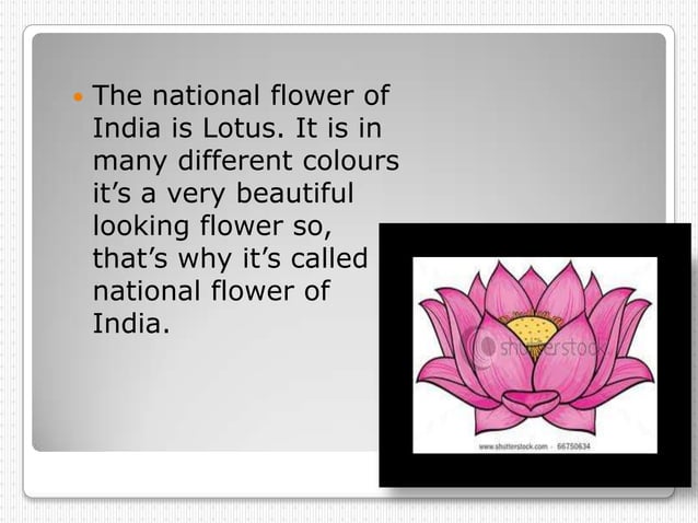 National symbols of India | PPTX | Women\'s Clothing | Women\'s Fashion