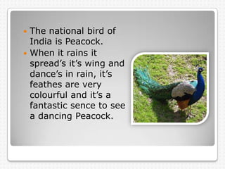 National symbols of India | PPTX