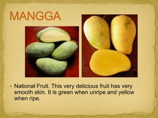 National symbols | PPTX