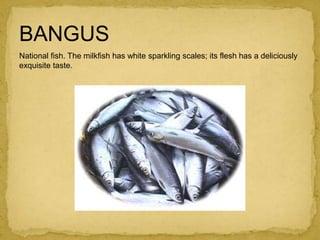 Philippine National Fish