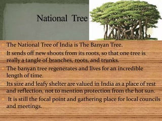 National symbols | PPTX