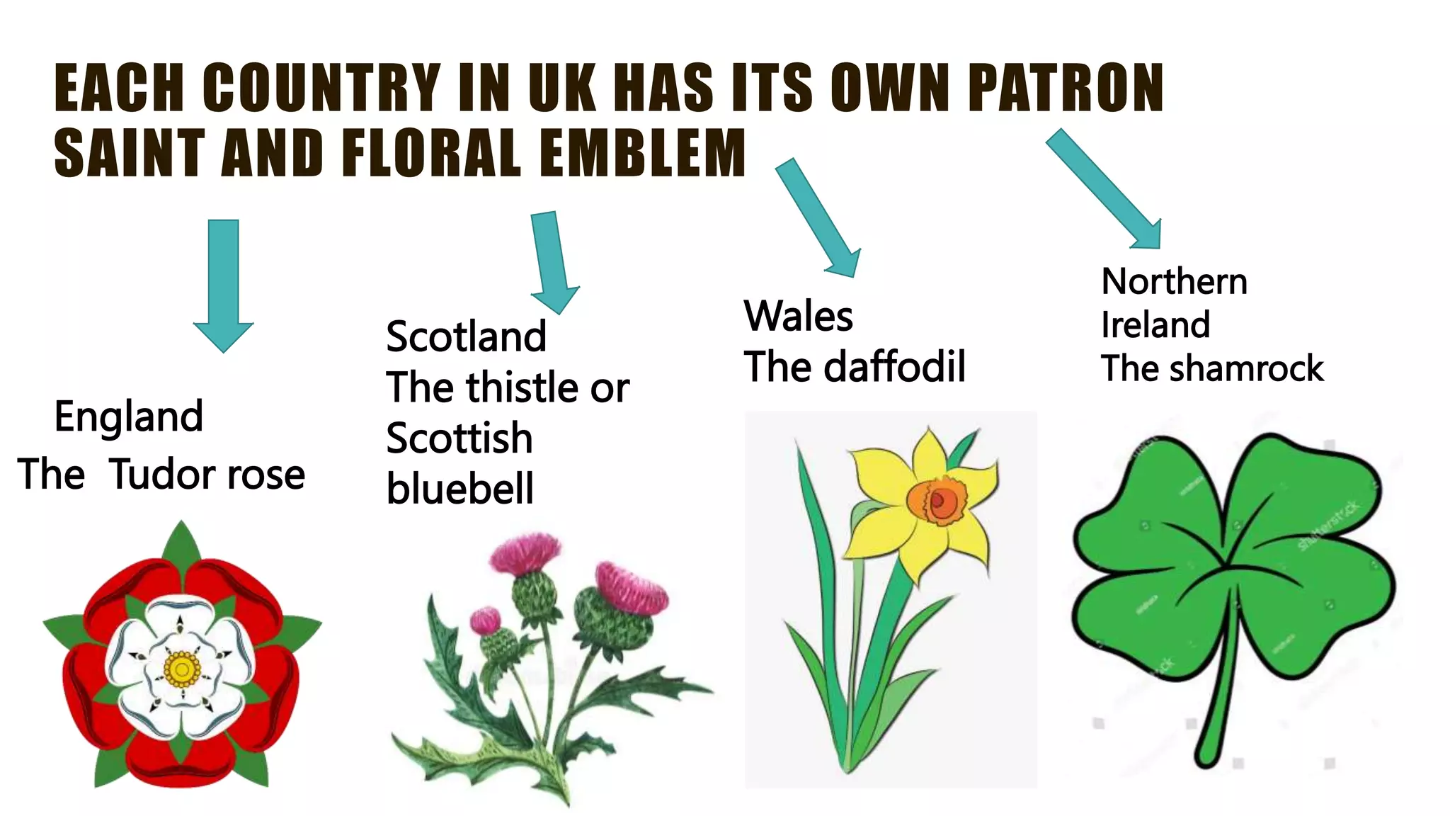 National symbols and holidays of the United kingdom.pptx