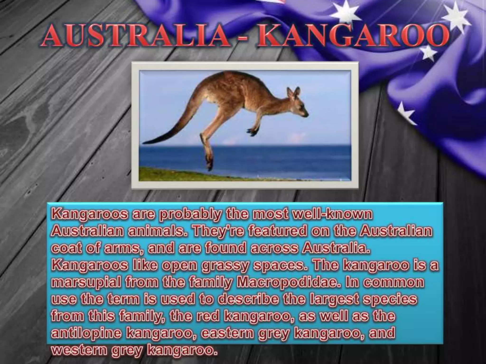 National symbols of different countries | PPTX