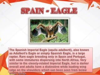 National symbols of different countries | PPTX