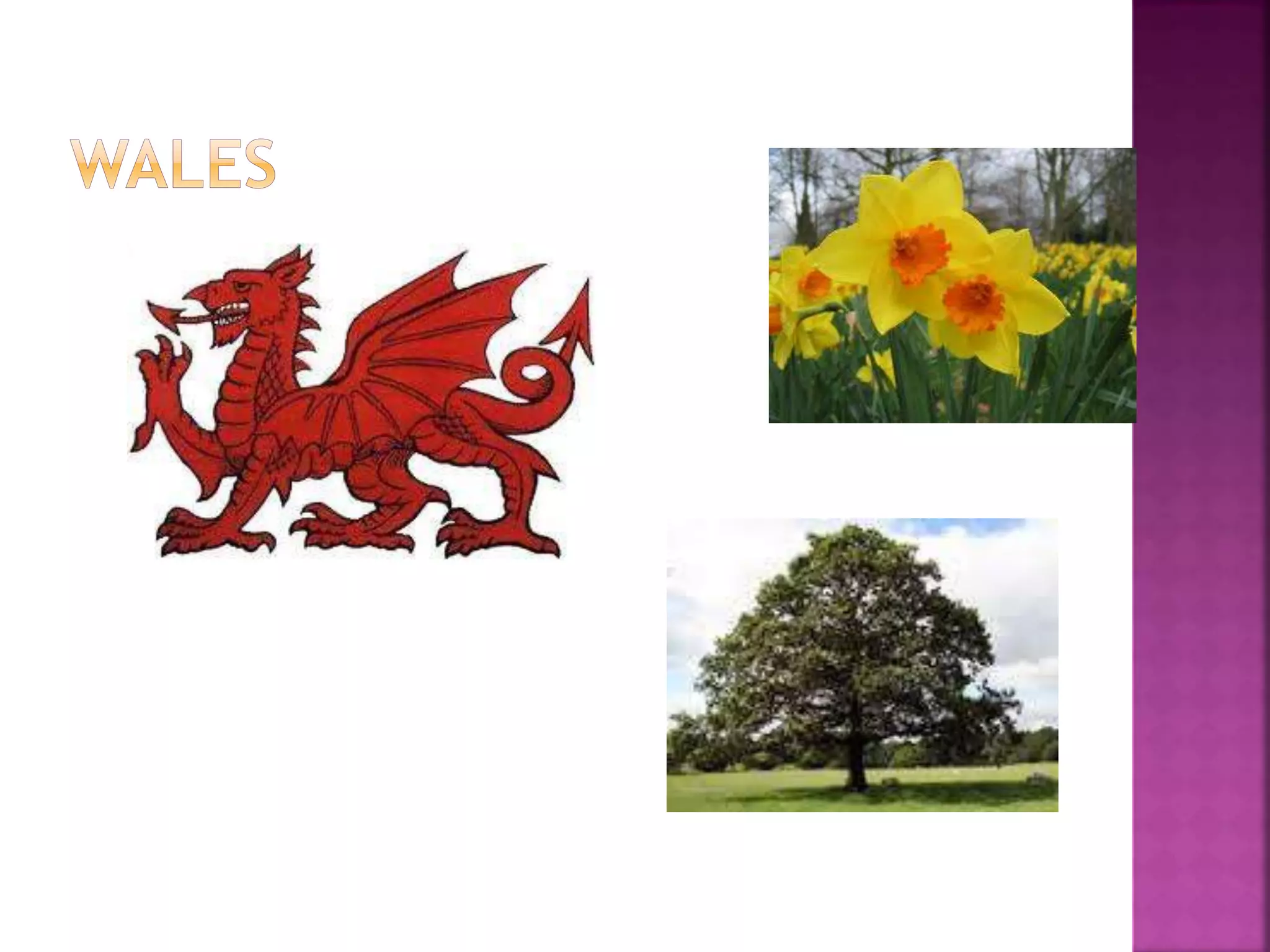 National symbols of great britain | PPTX