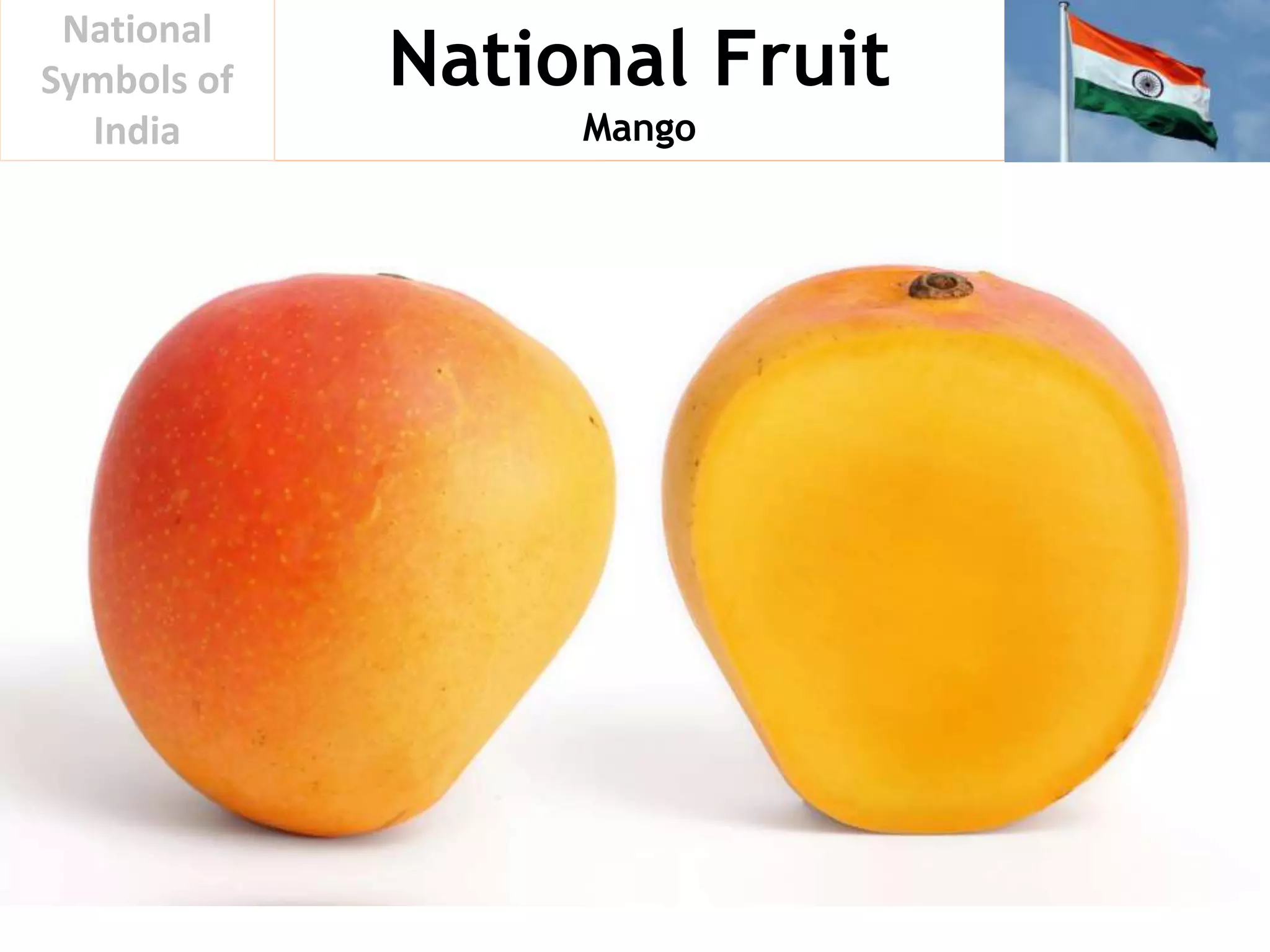 National Symbols of India | PPTX