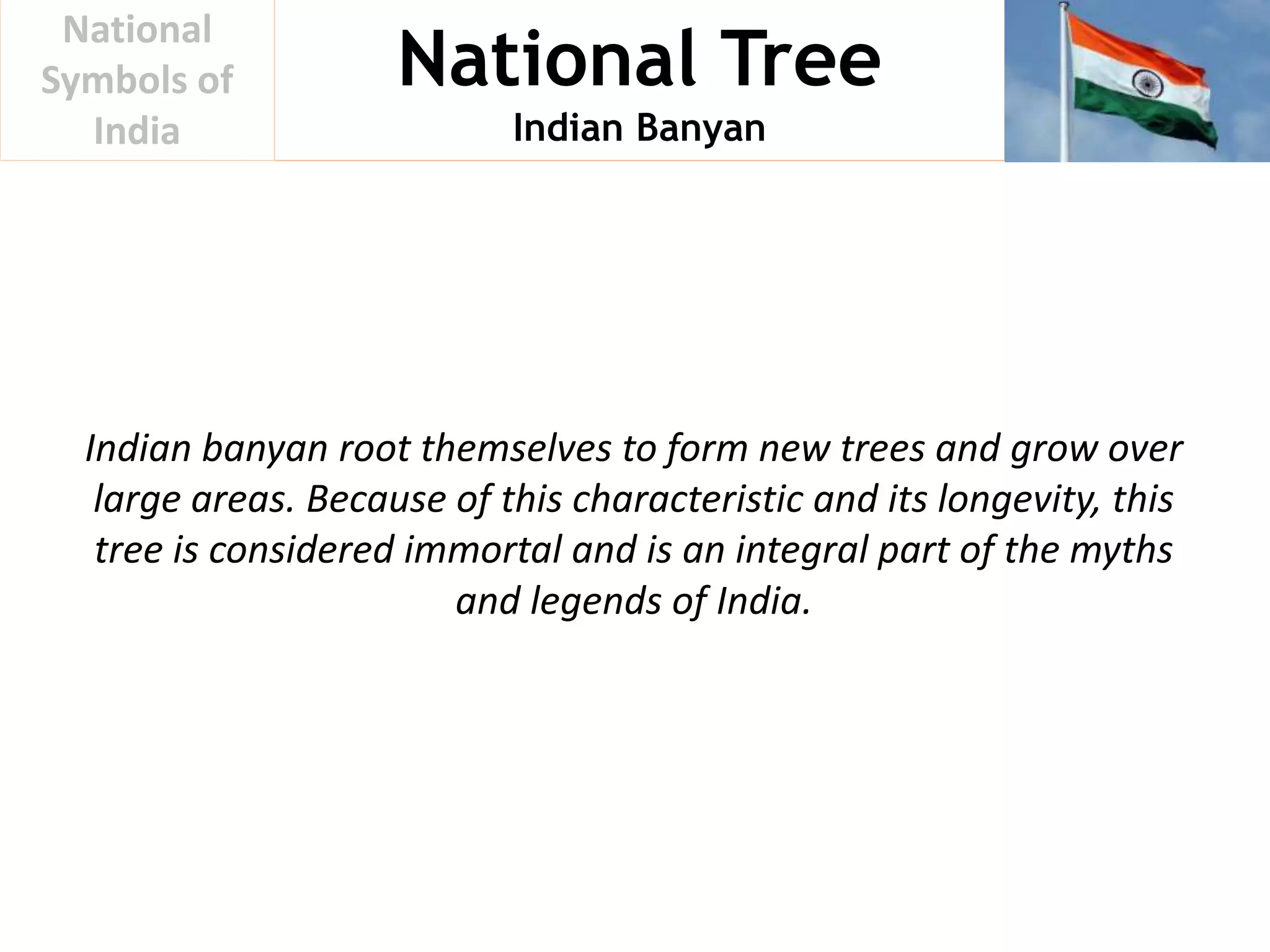 National Symbols of India | PPTX