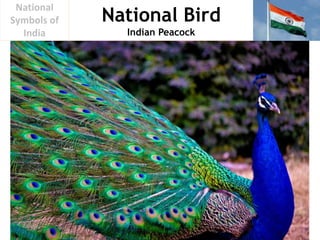 National Symbols of India | PPTX