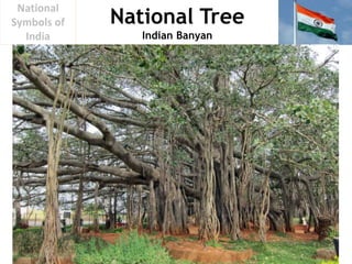 National Symbols of India | PPTX