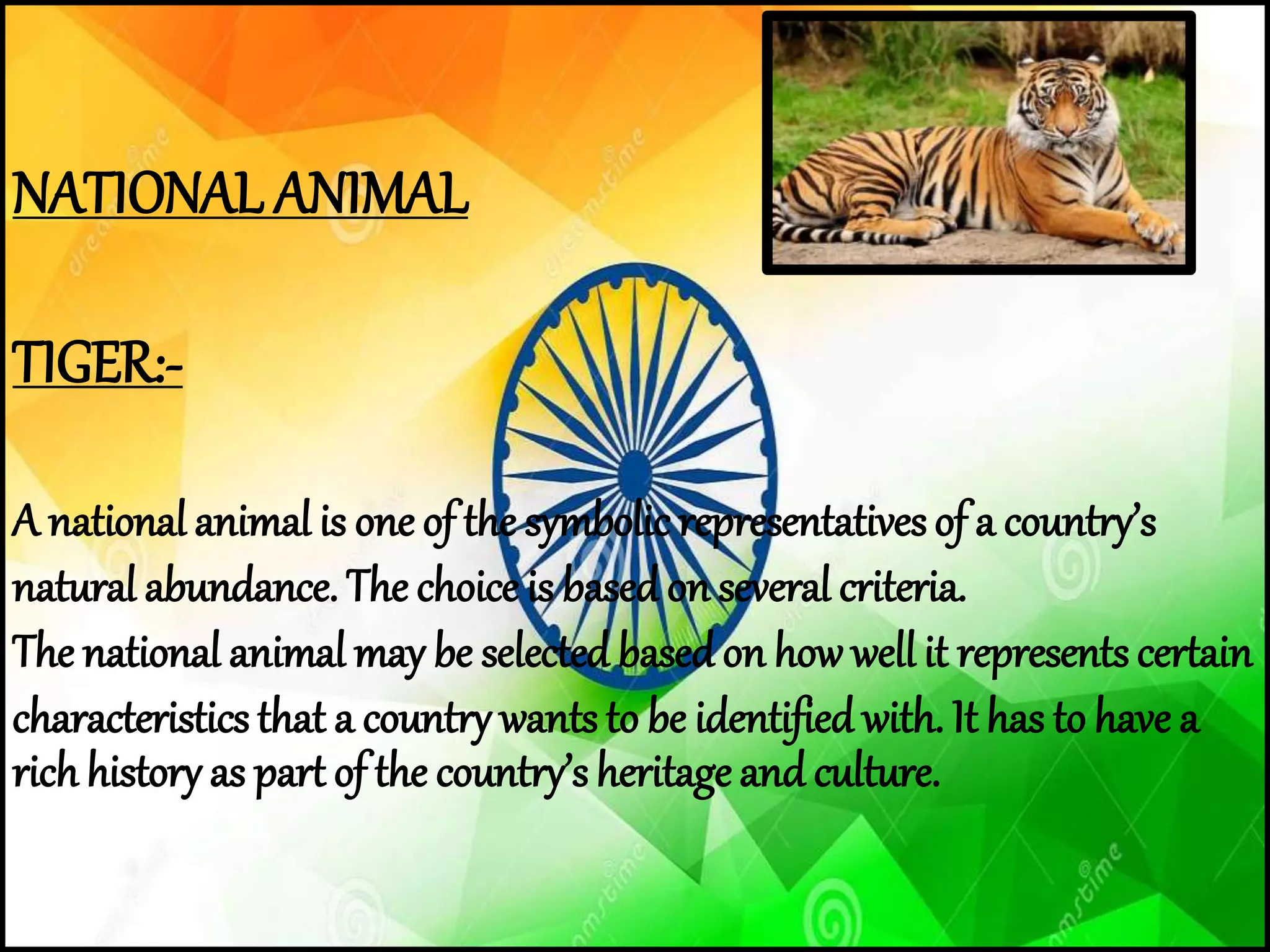 National symbols (social project) | PPTX